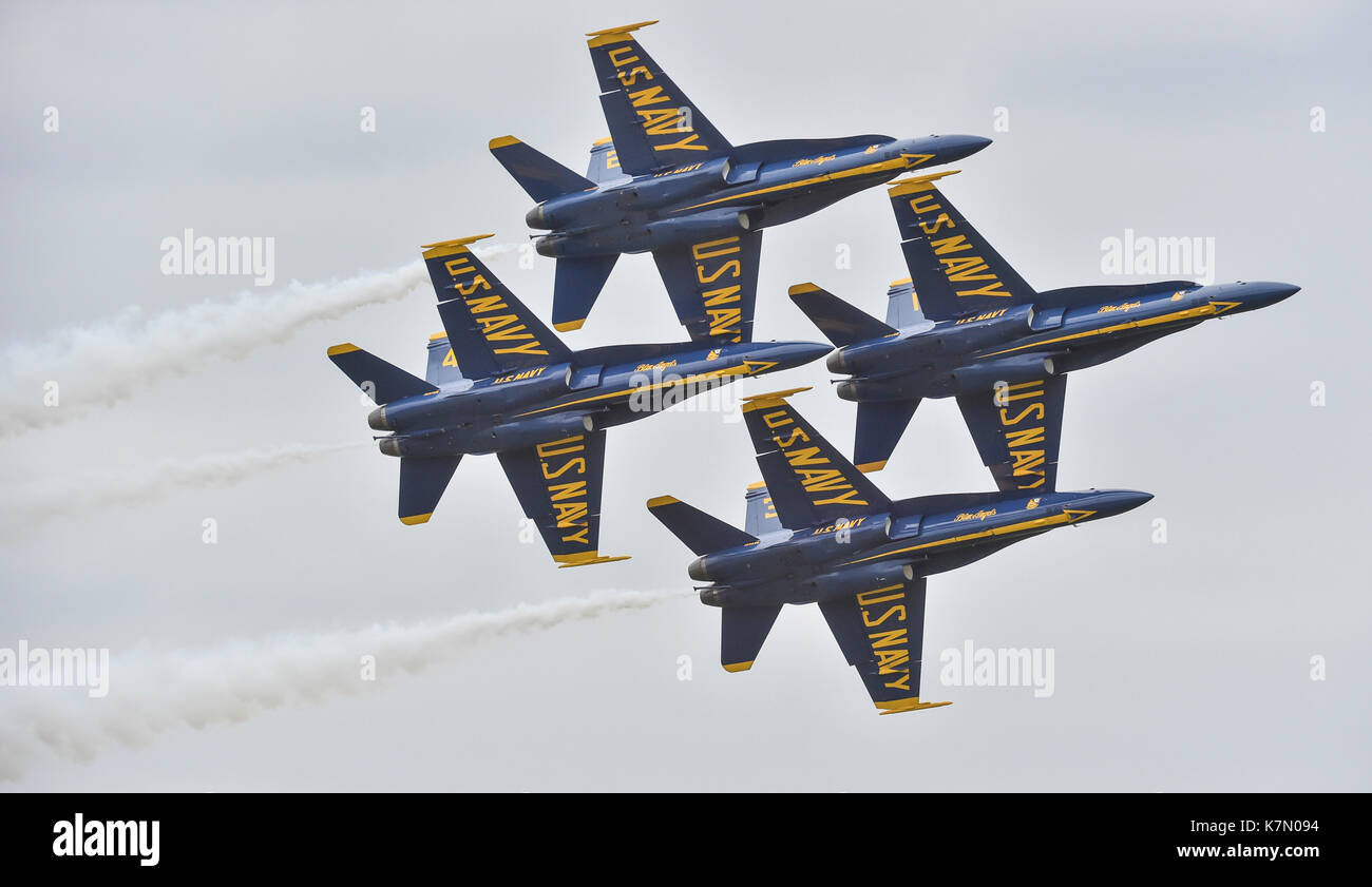 The U.S. Navy Flight Demonstration Squadron, the Blue Angels Stock ...