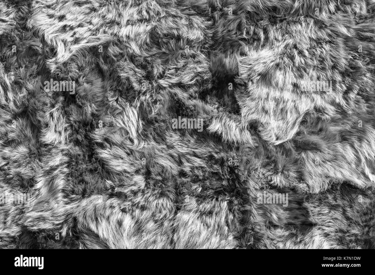 Gray-scale fur texture Stock Photo - Alamy