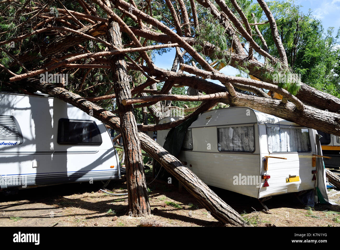 Fallen trees lying on caravans, storm damage on campsite, Cavallino ...