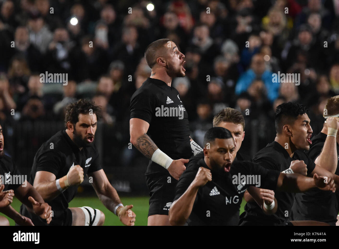 All blacks haka springboks hi-res stock photography and images - Alamy
