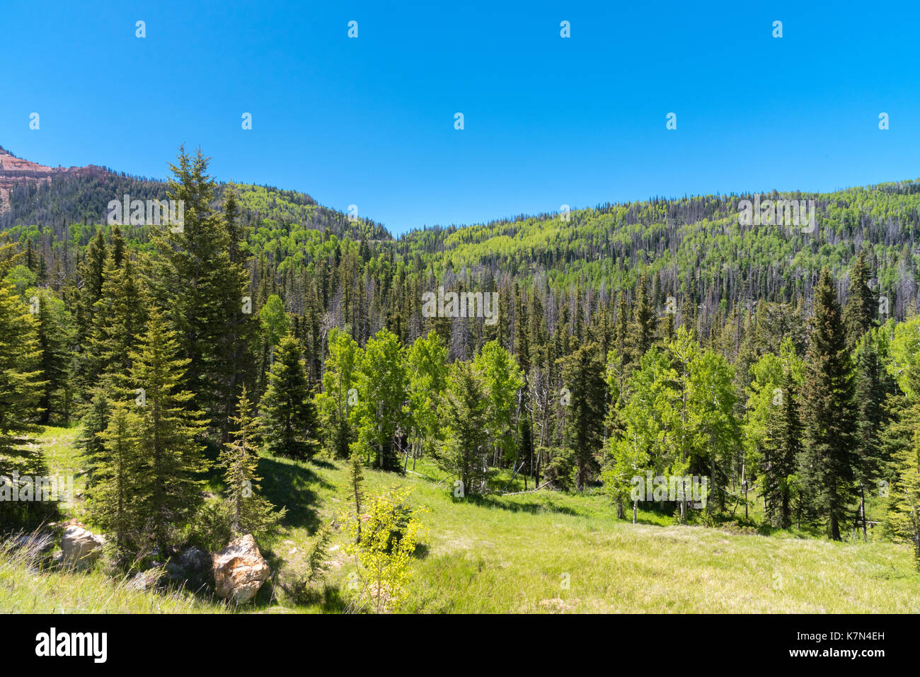 Utah highway 14 hi-res stock photography and images - Alamy