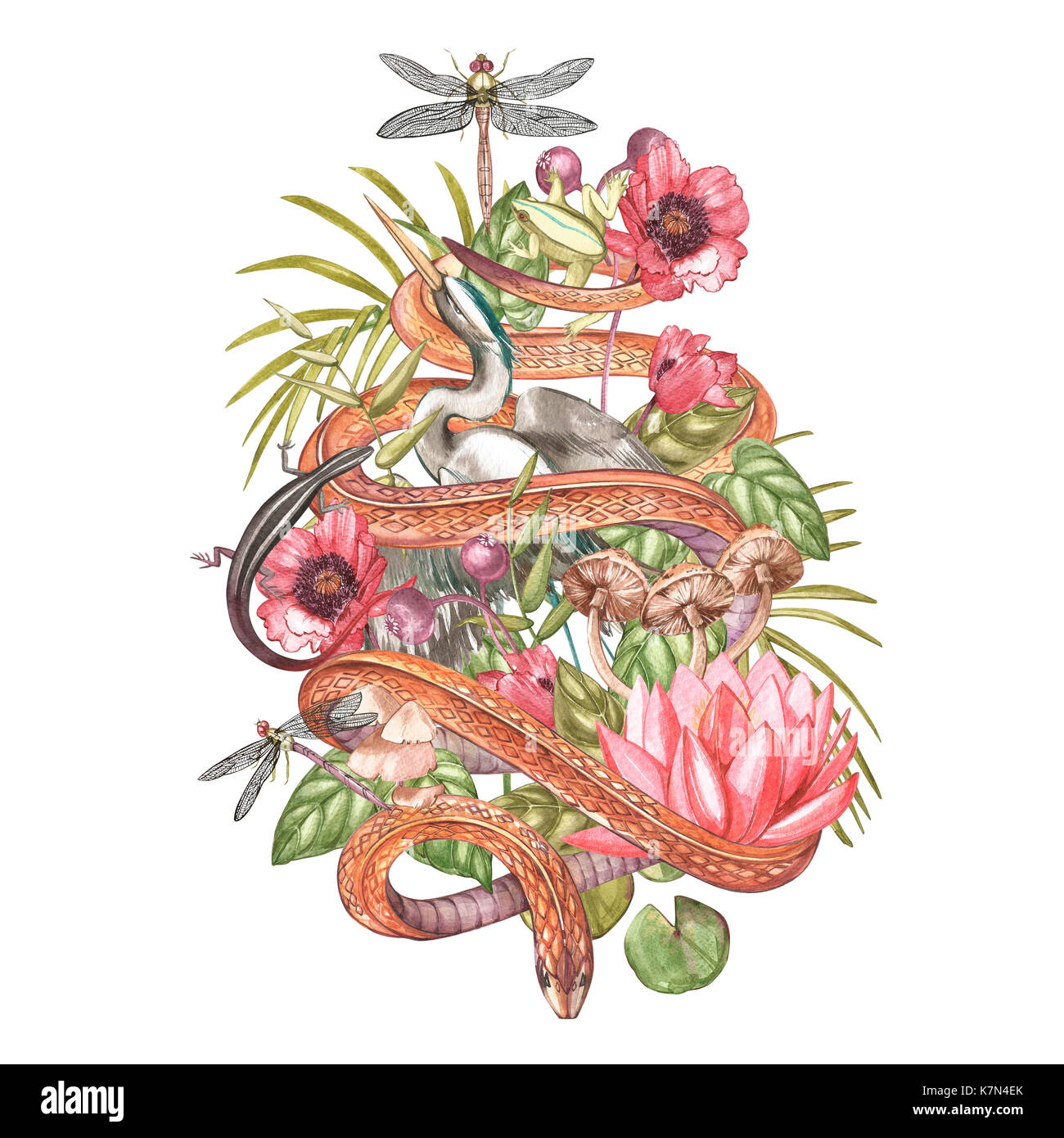 Set of hand drawn watercolor botanical illustration of swamp theme with ...