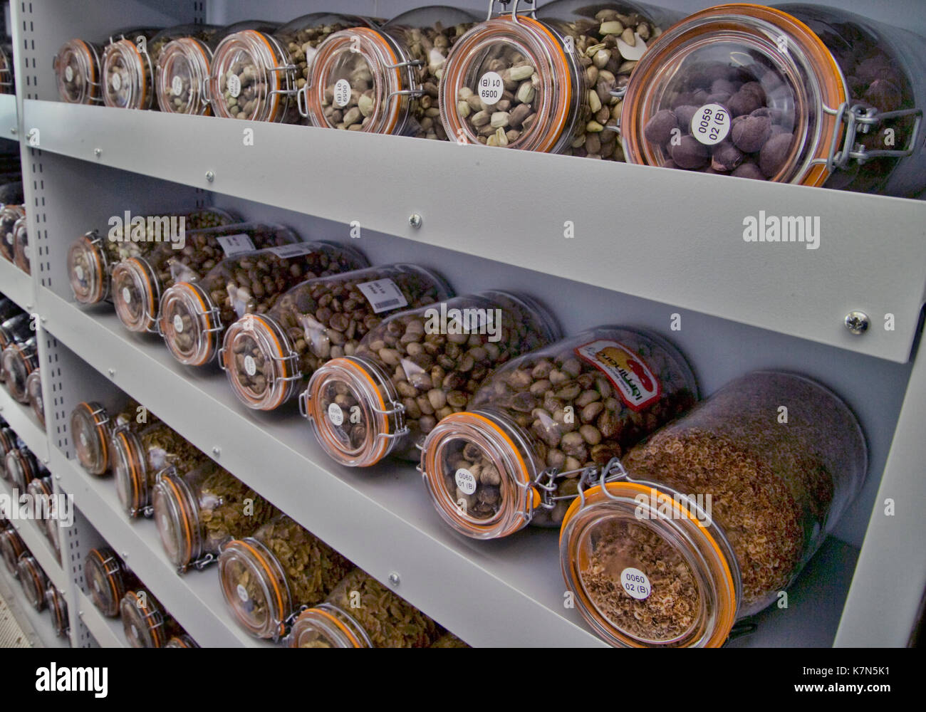 Millennium seed bank kew hi-res stock photography and images - Alamy