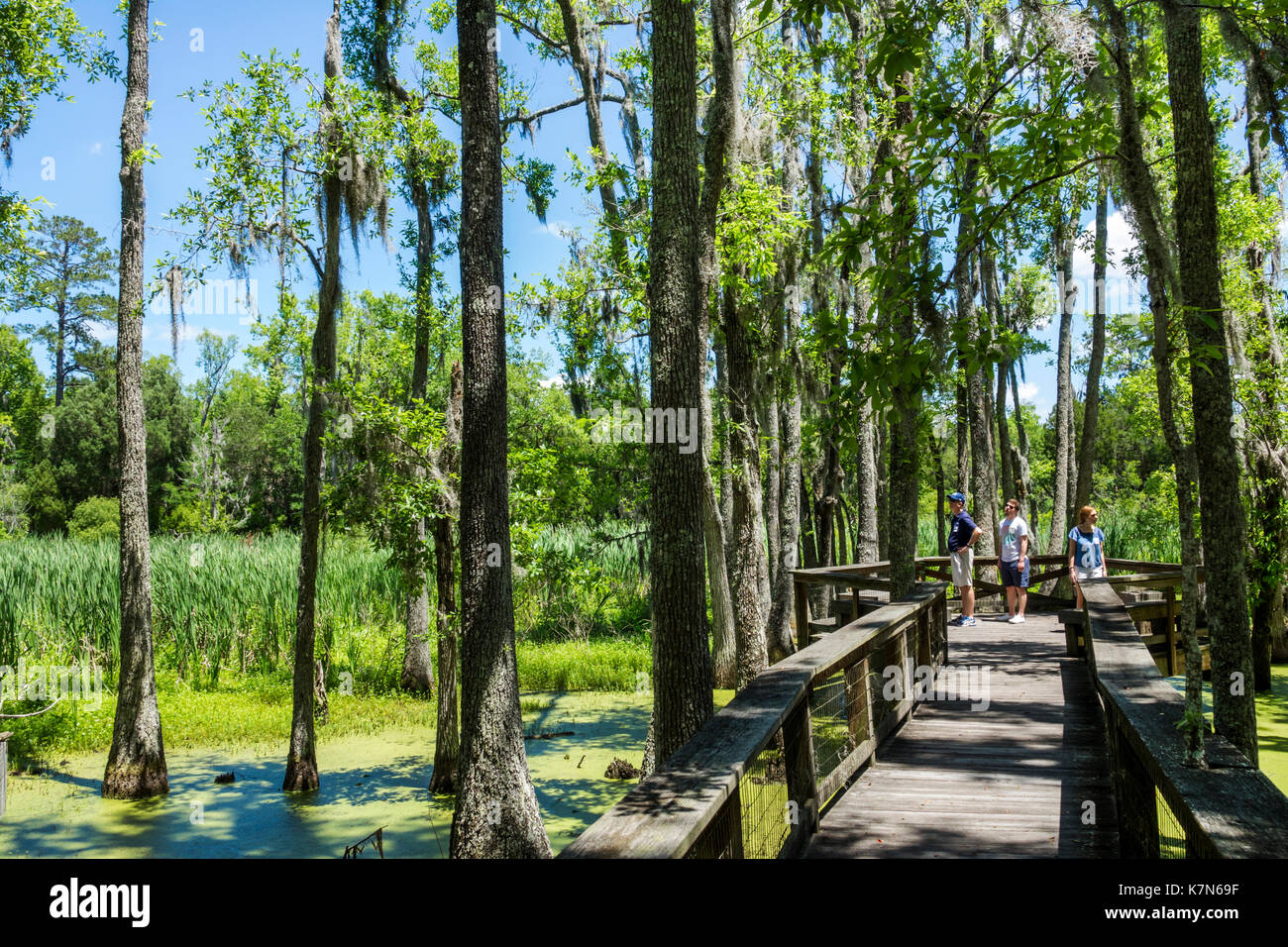 Charleston South Carolina,Magnolia Plantation & Gardens,Antebellum ...
