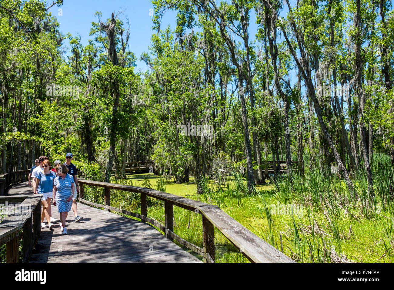 Charleston South Carolina,Magnolia Plantation & Gardens,Antebellum ...