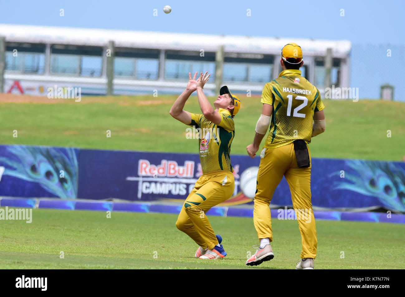 Cricket red bull hi-res stock photography and images - Alamy