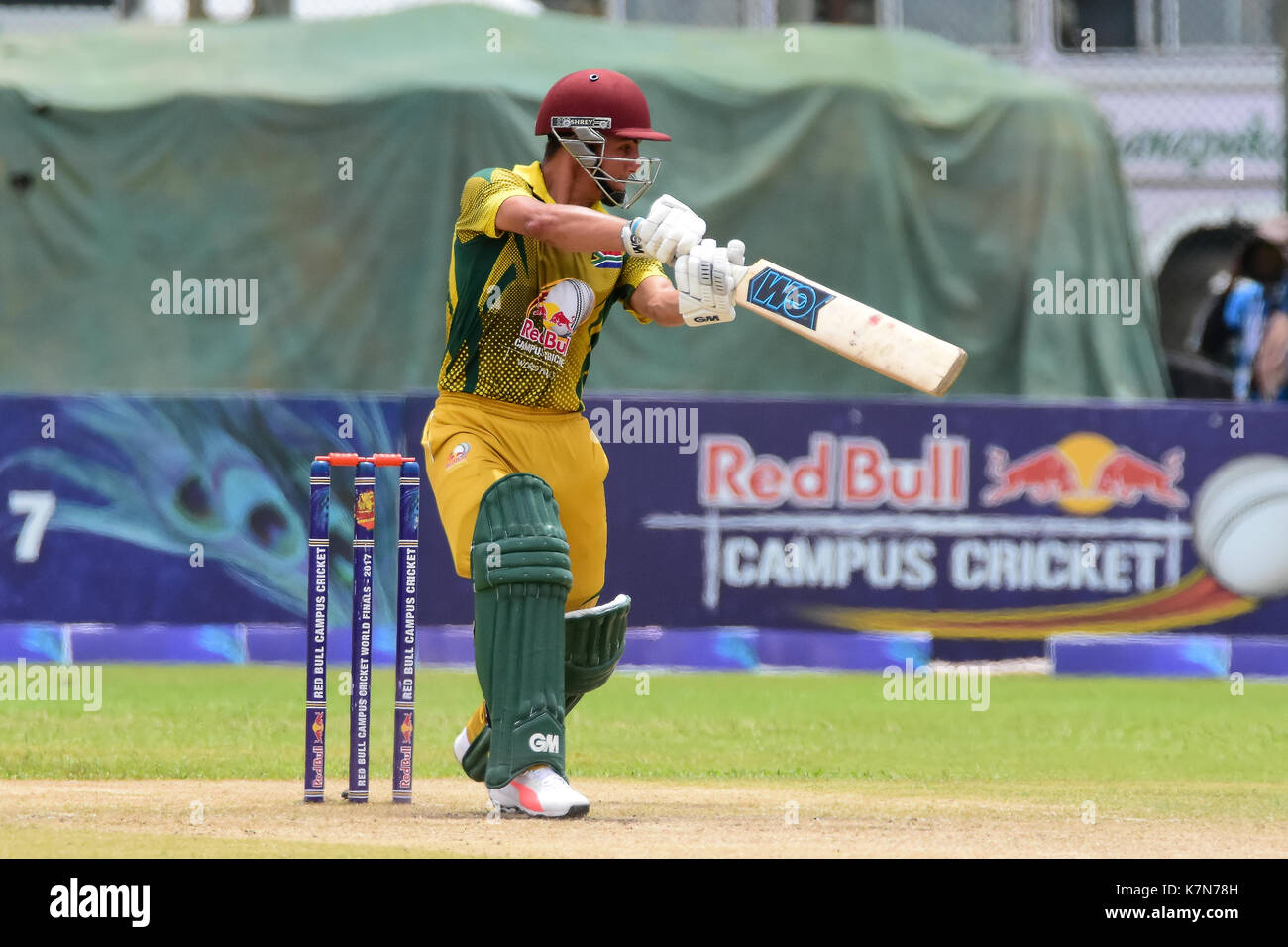 Cricket red bull hi-res stock photography and images - Alamy