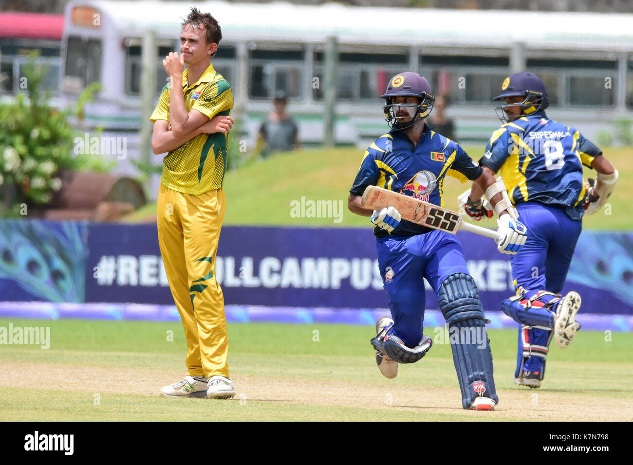 Cricket red bull hi-res stock photography and images - Alamy
