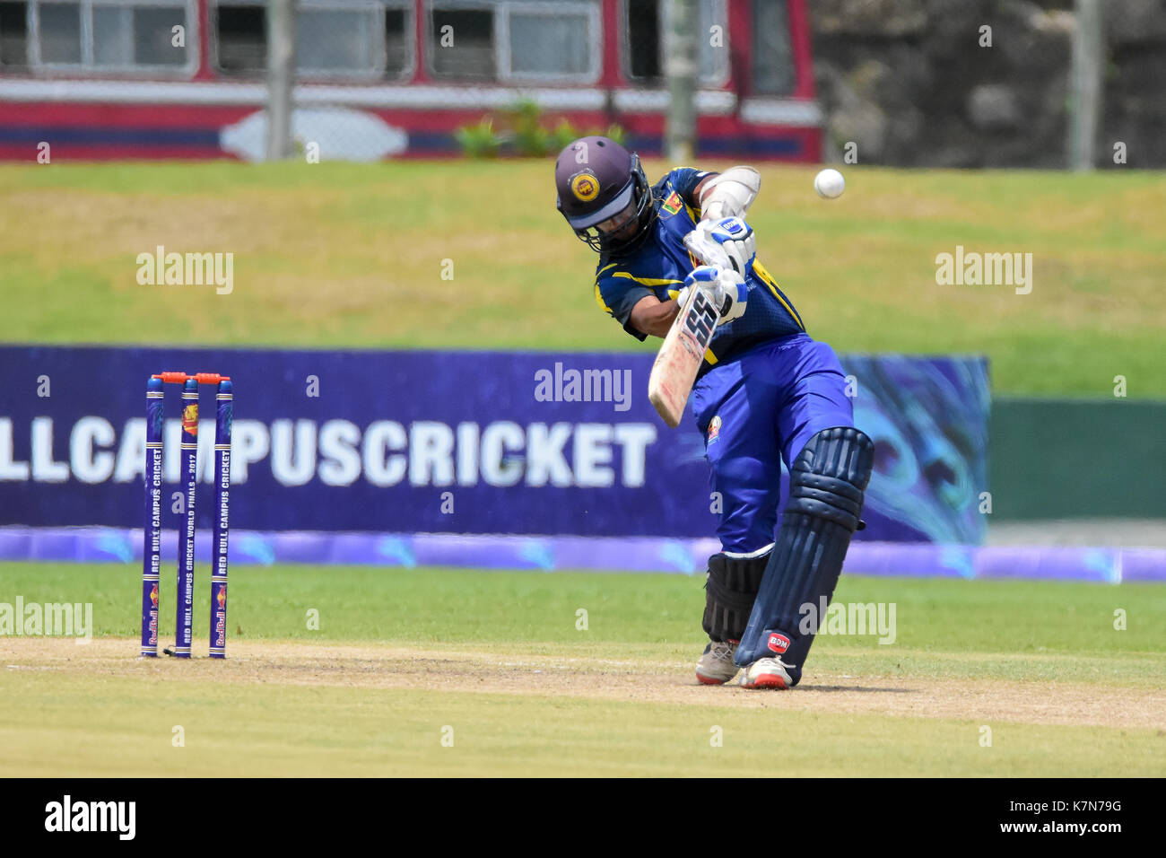 Cricket red bull hi-res stock photography and images - Alamy