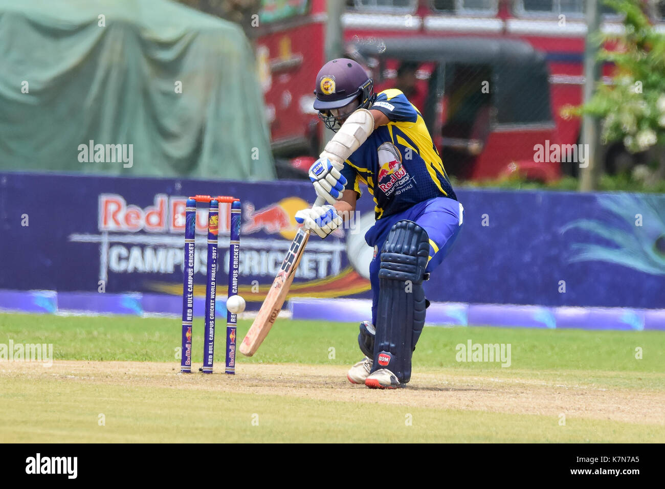 Cricket red bull hi-res stock photography and images - Alamy