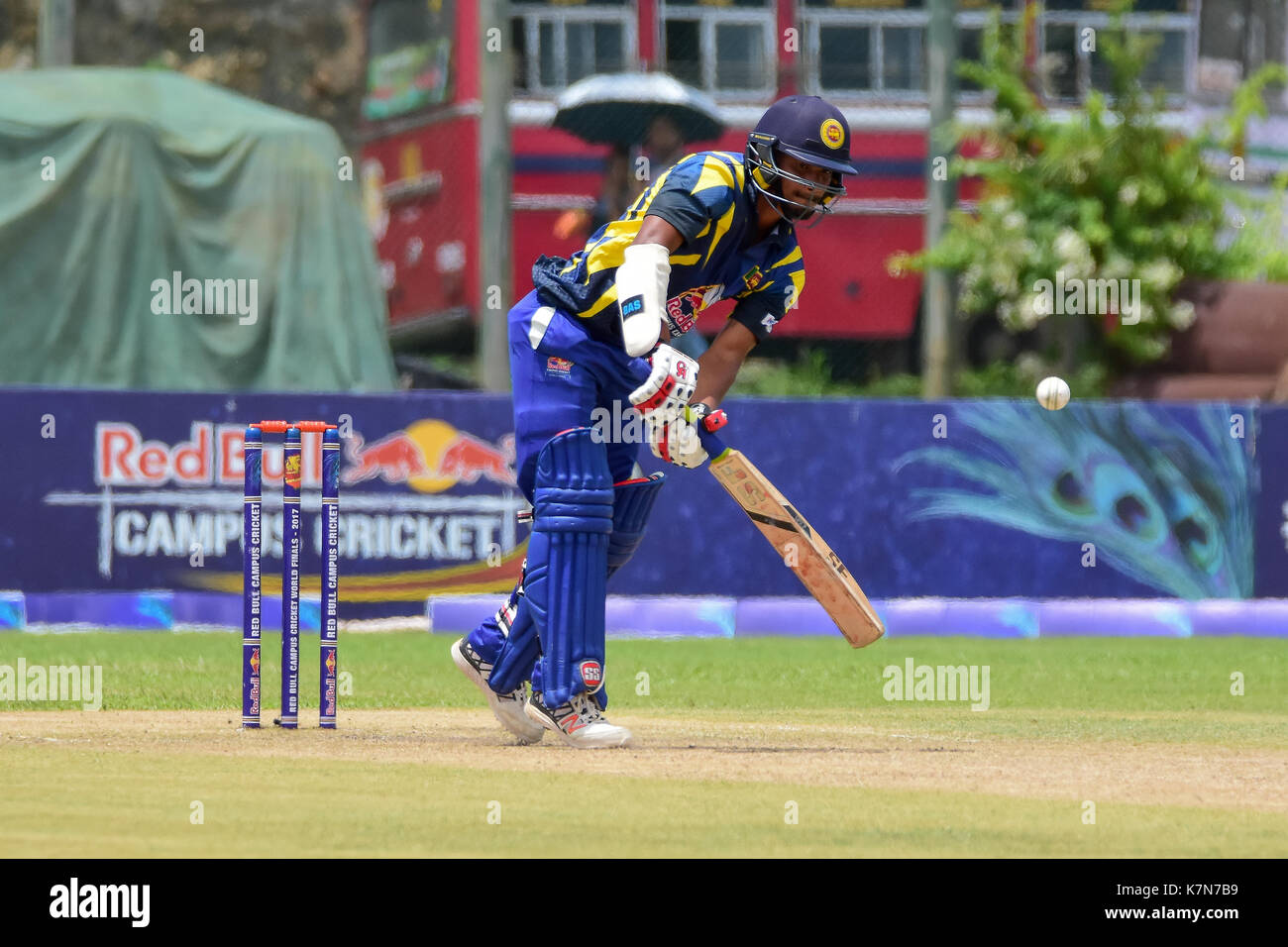 Cricket red bull hi-res stock photography and images - Alamy