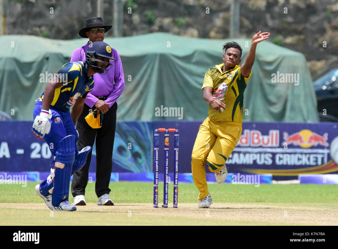 Cricket red bull hi-res stock photography and images - Alamy