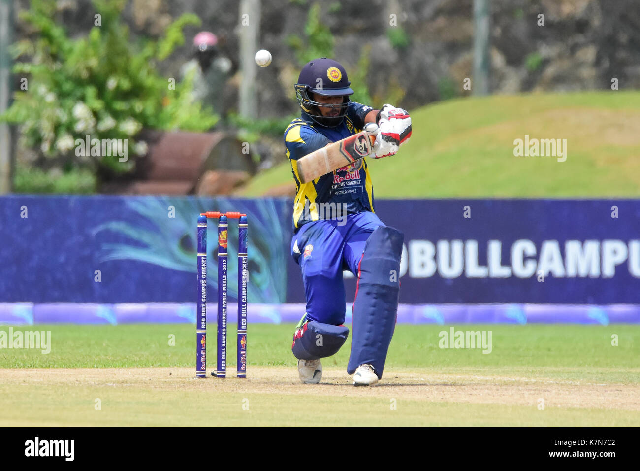 Red bull sri lanka hi-res stock photography and images - Alamy