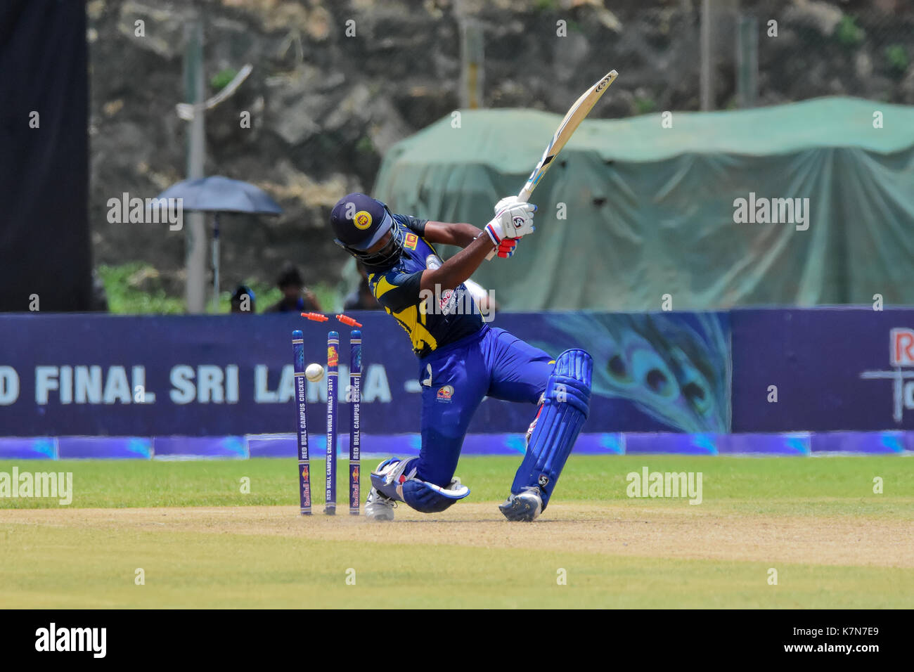 Cricket red bull hi-res stock photography and images - Alamy