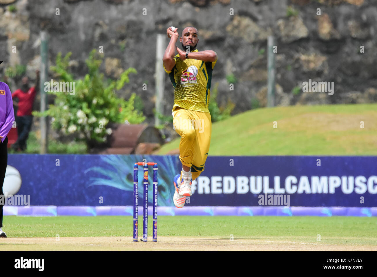 Cricket red bull hi-res stock photography and images - Alamy