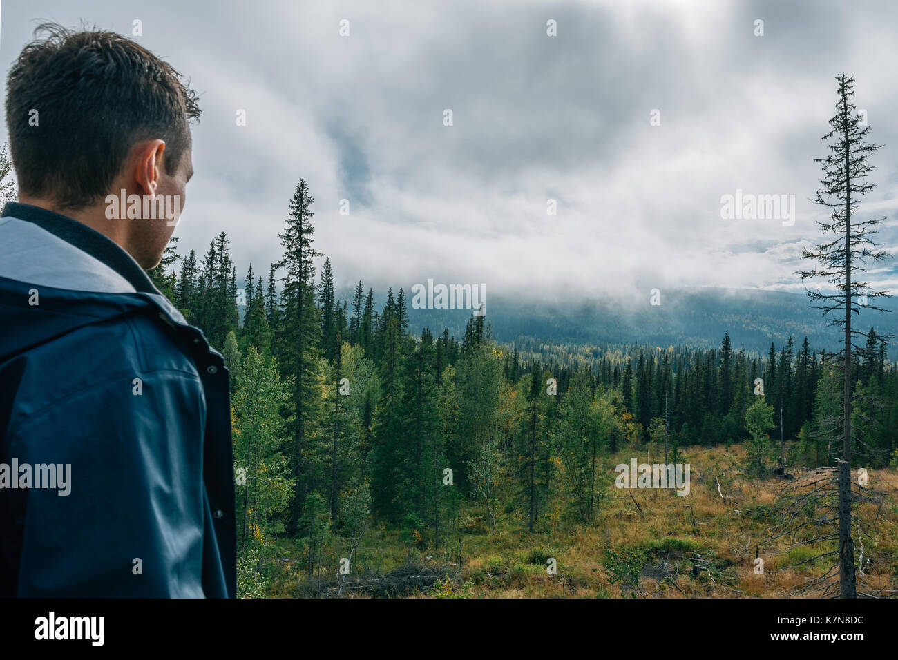 Inspiring young man hi-res stock photography and images - Alamy