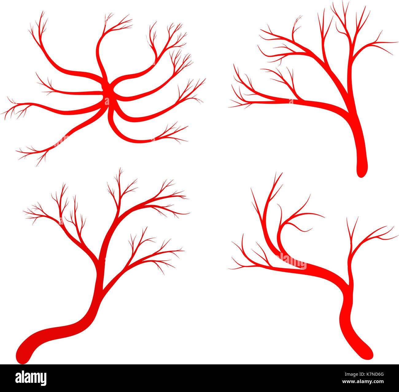 human vein set vector symbol icon design. Beautiful illustration ...