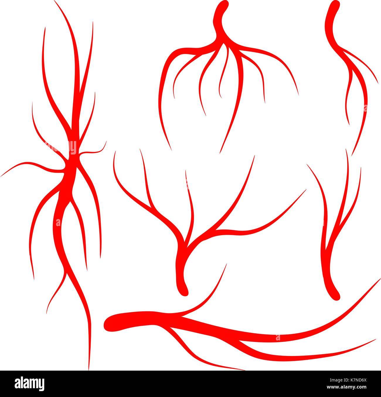 human vein set vector symbol icon design. Beautiful illustration ...