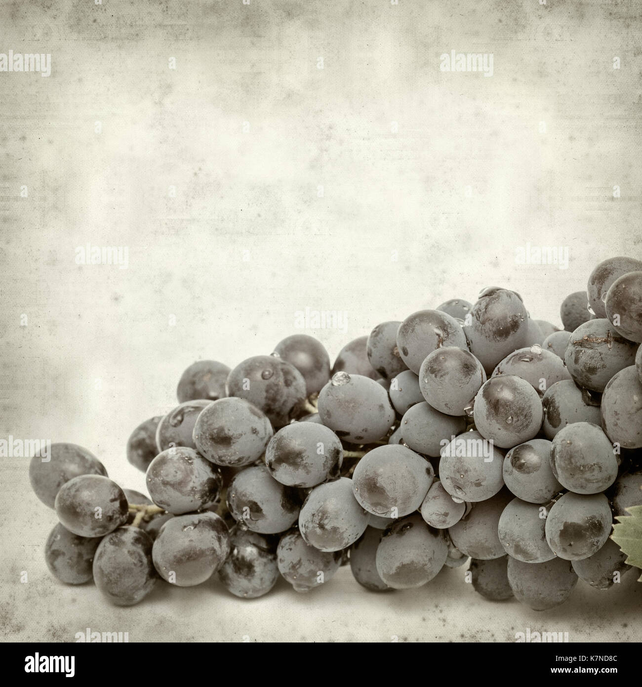 textured old paper background with bunch of dark grapes Stock Photo - Alamy