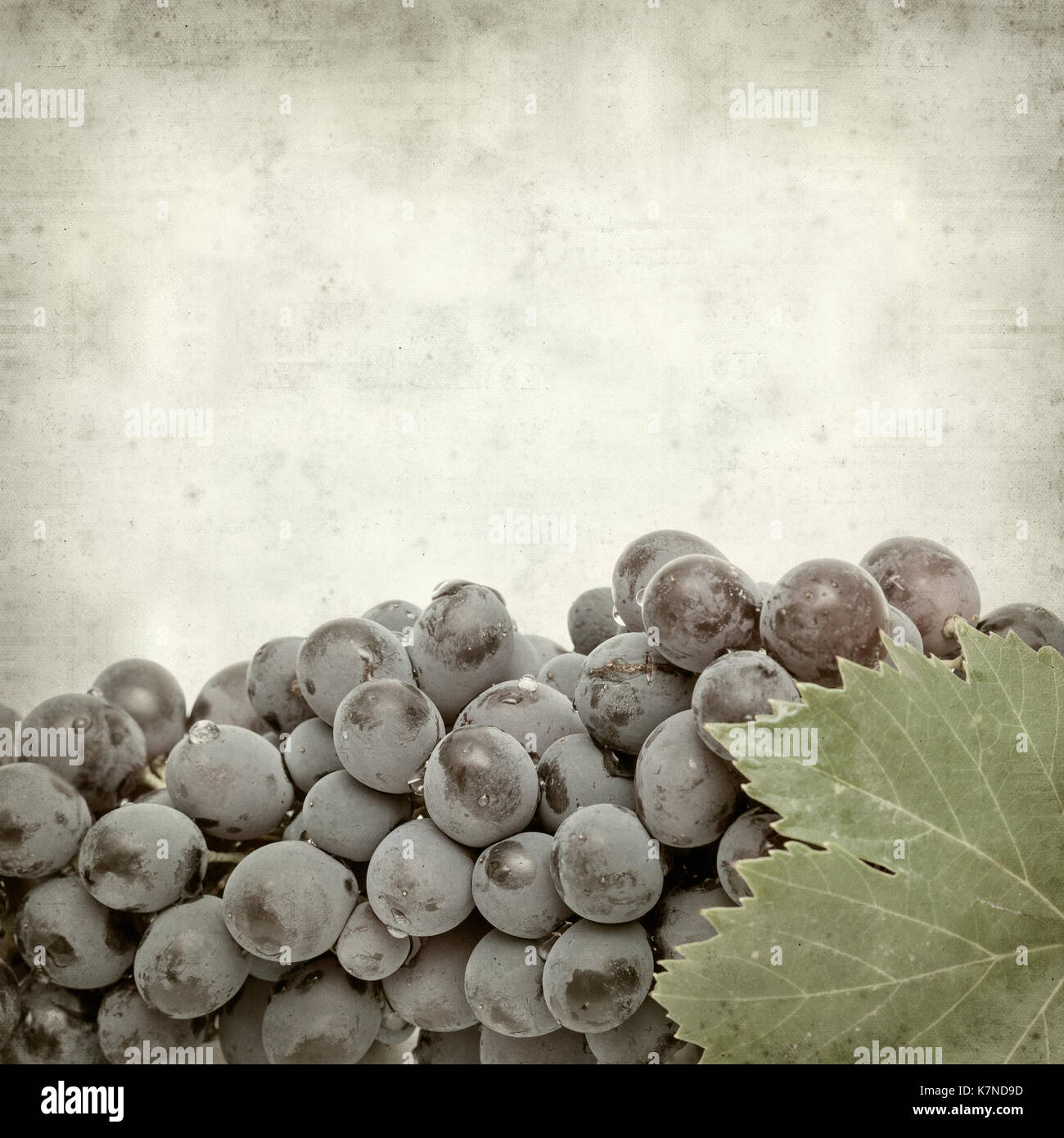 textured old paper background with bunch of dark grapes Stock Photo - Alamy