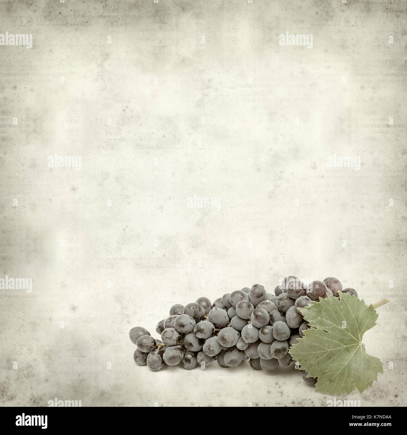textured old paper background with bunch of dark grapes Stock Photo - Alamy