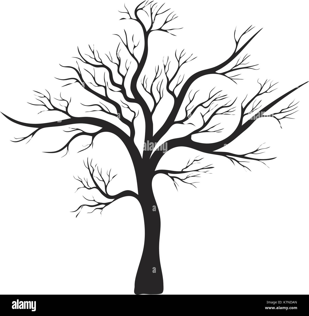 Bare Tree Illustration