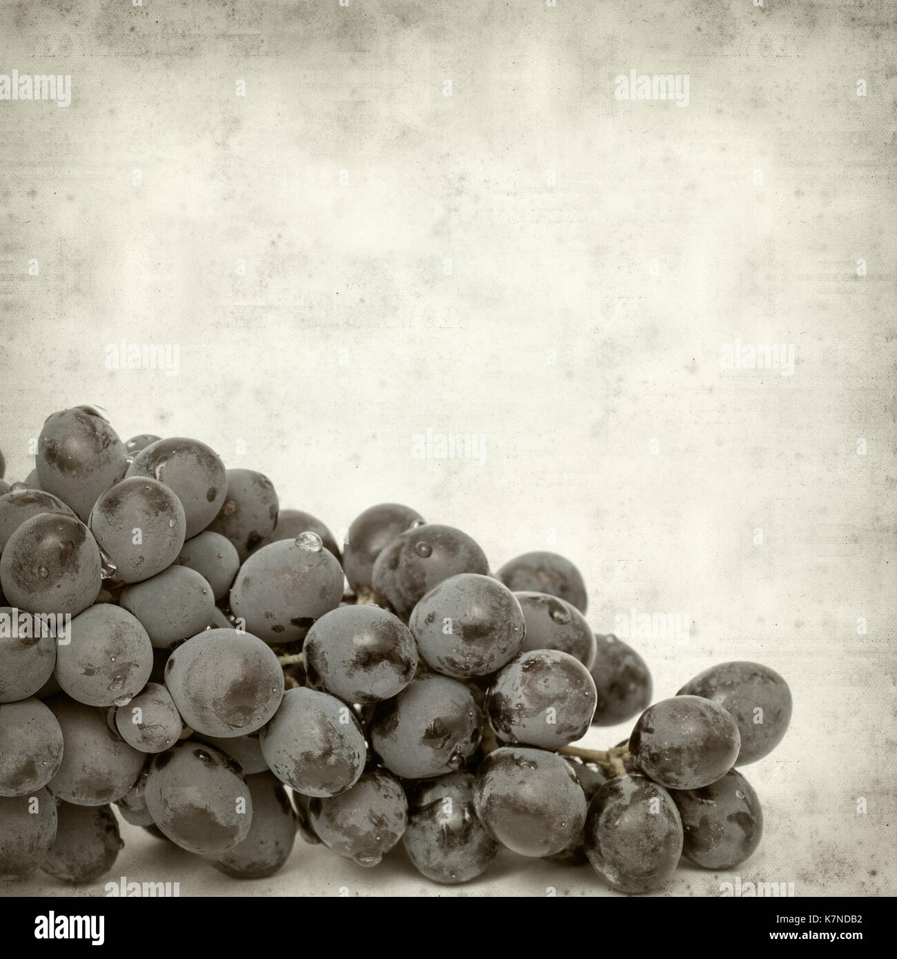 textured old paper background with bunch of dark grapes Stock Photo - Alamy