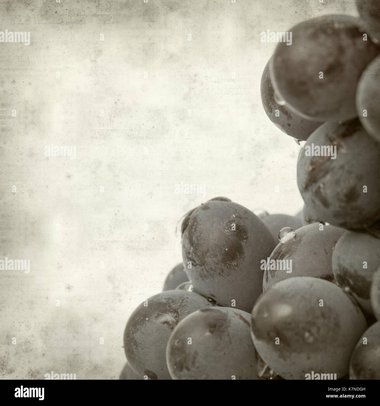 textured old paper background with bunch of dark grapes Stock Photo - Alamy