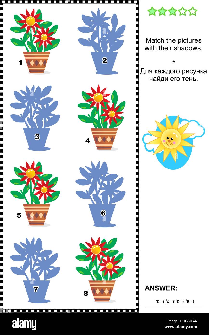 Visual puzzle: Match the pictures of flowers in pots to their shadows ...