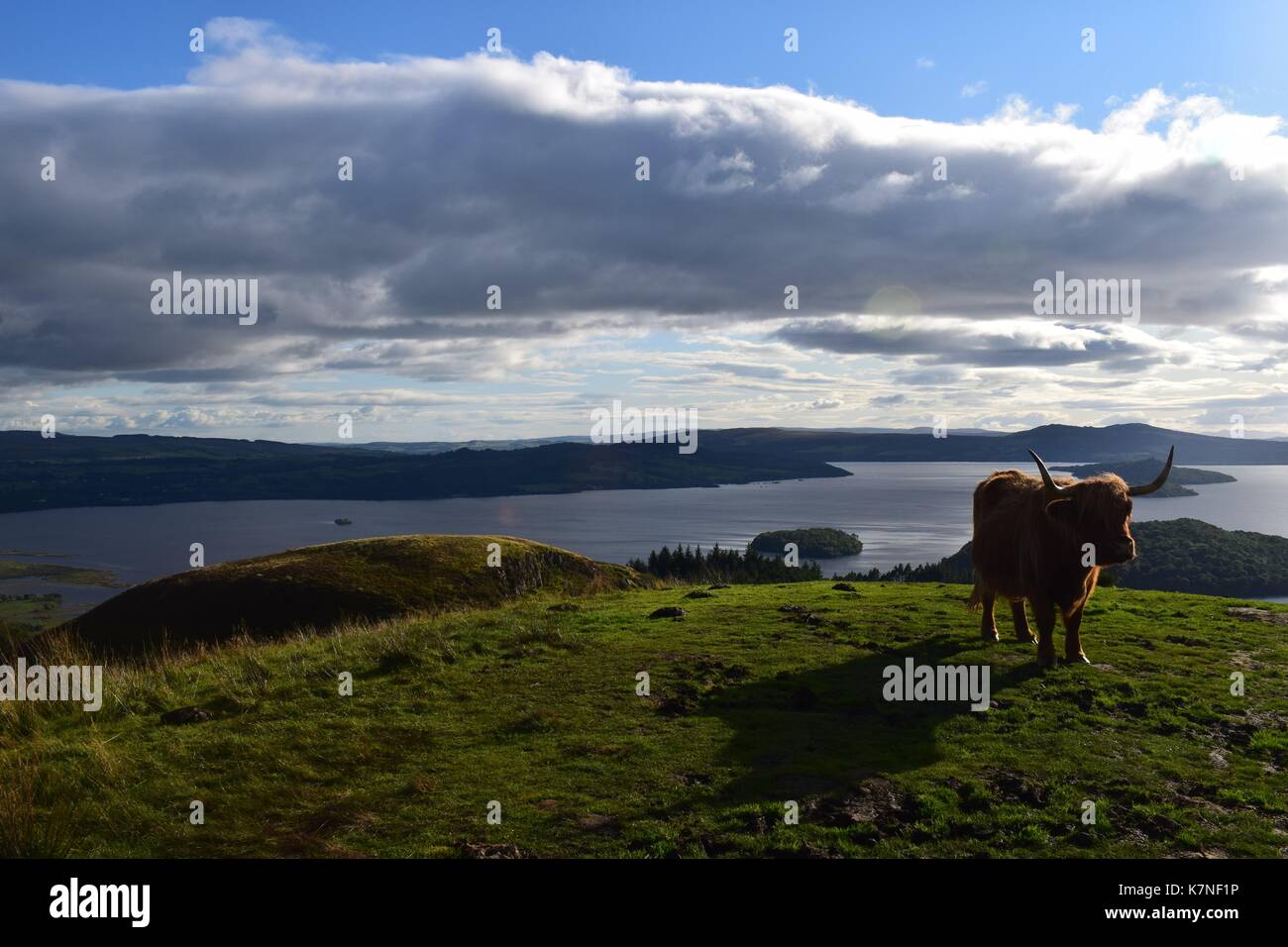 Conic hi-res stock photography and images - Alamy