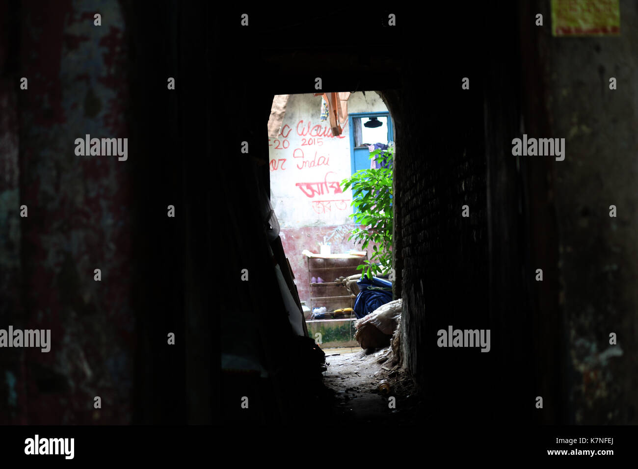 man and animal of sakhari bazar and other places old dhaka on the day ...