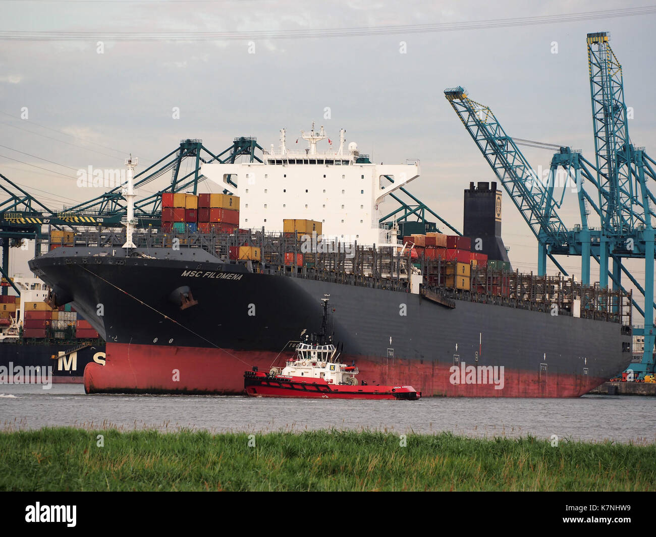 The image shows MSC Filomena, a container ship launched in 2010, docked ...