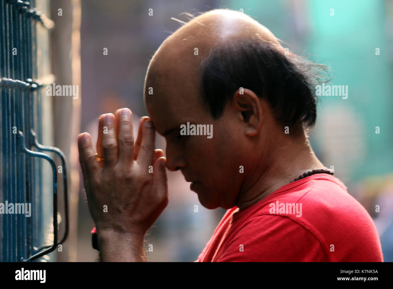 man and animal of sakhari bazar and other places old dhaka on the day ...