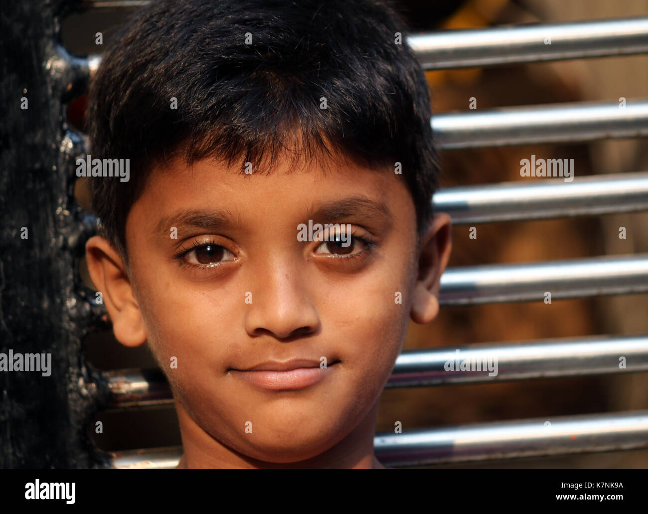 man and animal of sakhari bazar and other places old dhaka on the day ...