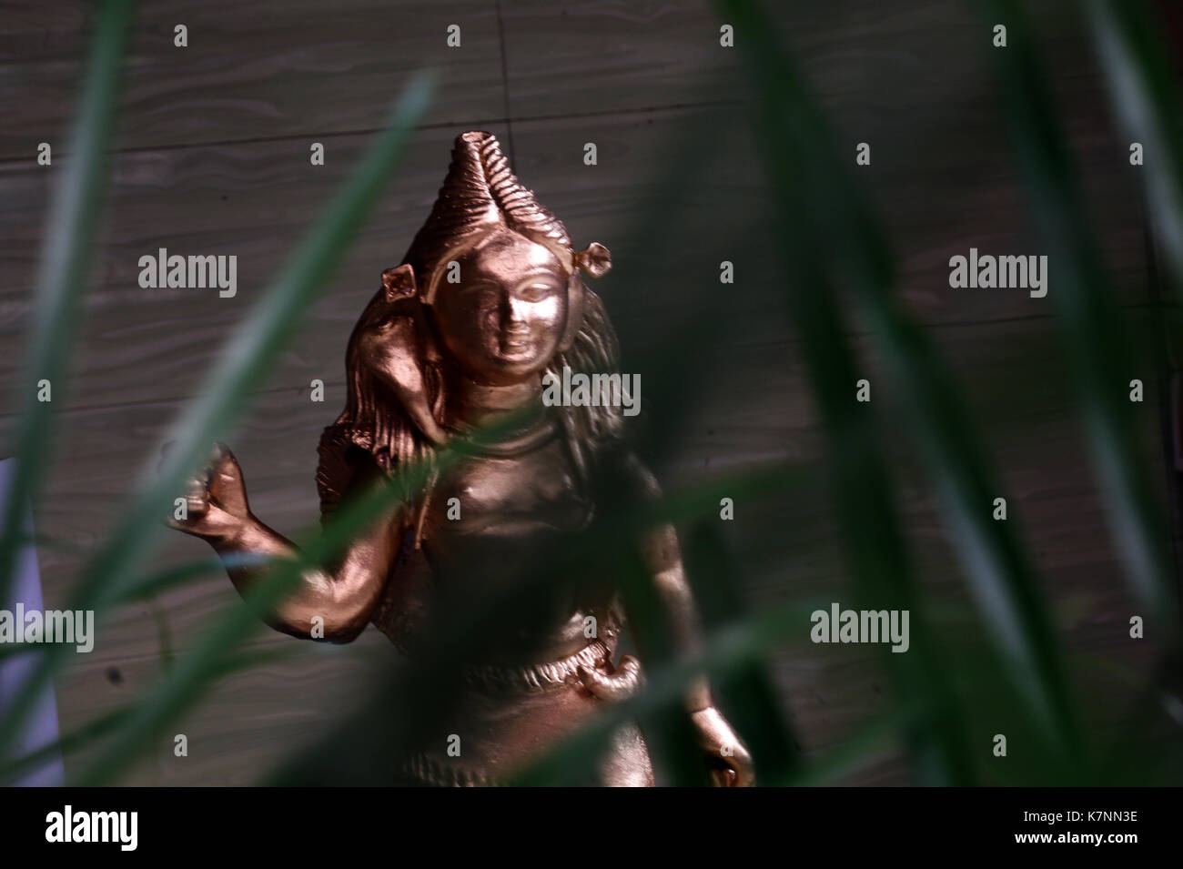 man and animal of sakhari bazar and other places old dhaka on the day ...