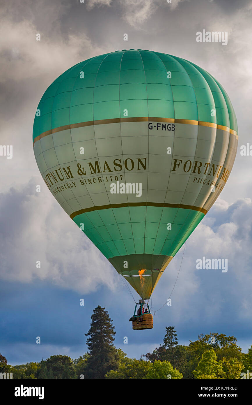 Fortnum & Mason hot air balloon in the sky and clouds above trees at ...