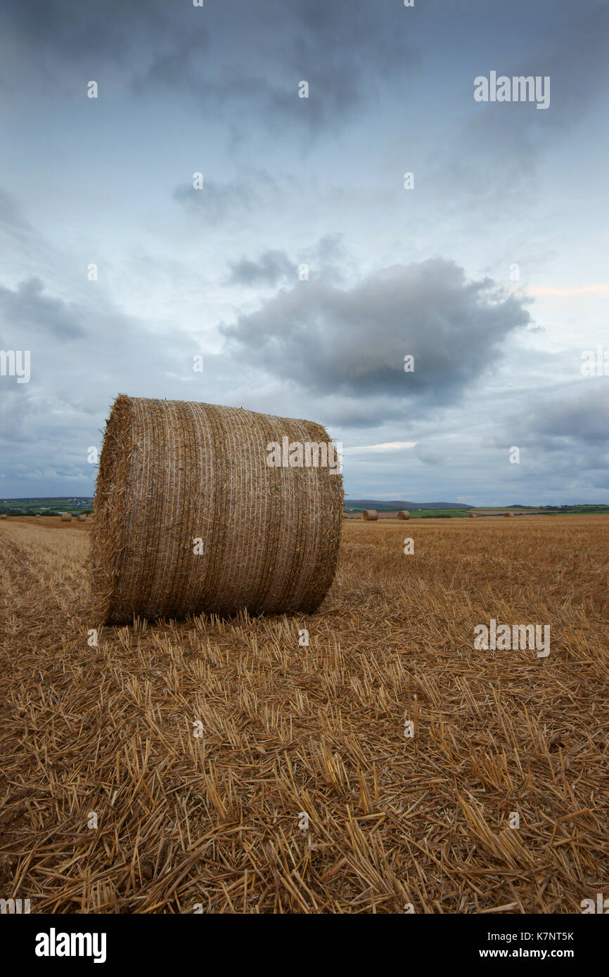 Scurlage gower hi-res stock photography and images - Alamy