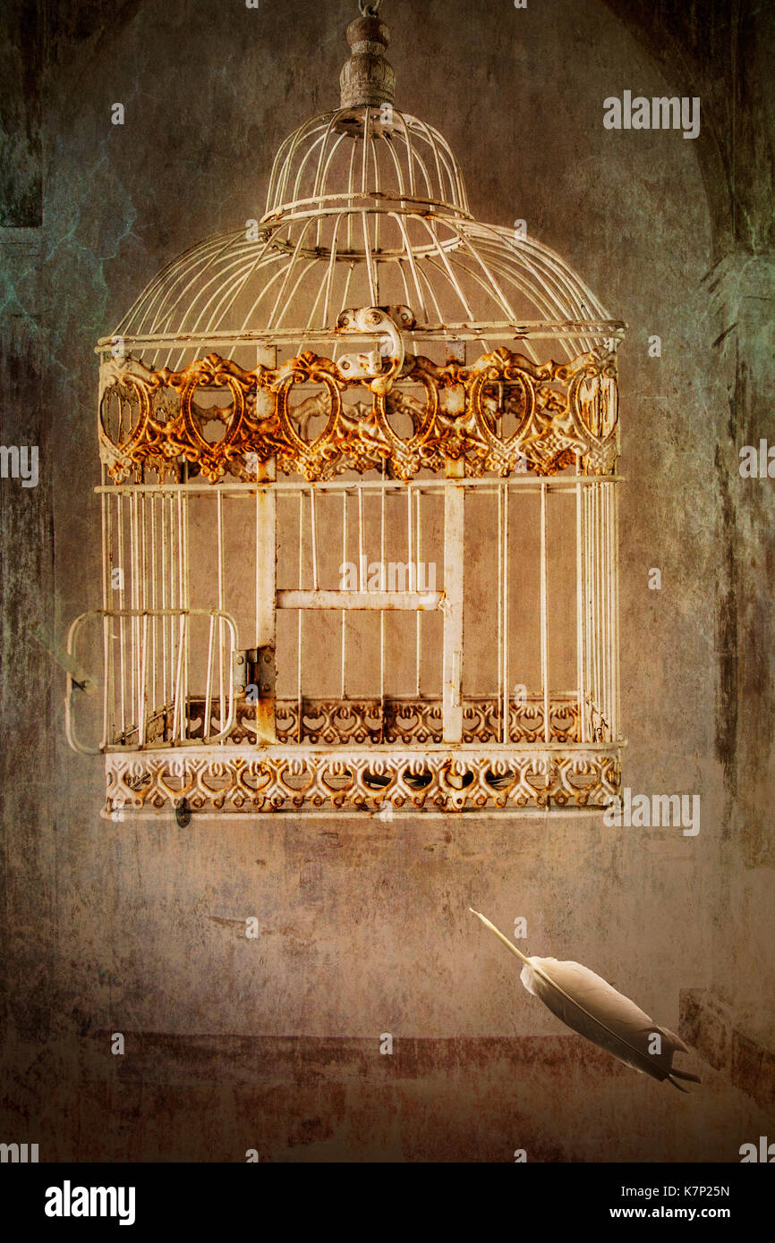 Cage falling hi-res stock photography and images - Alamy