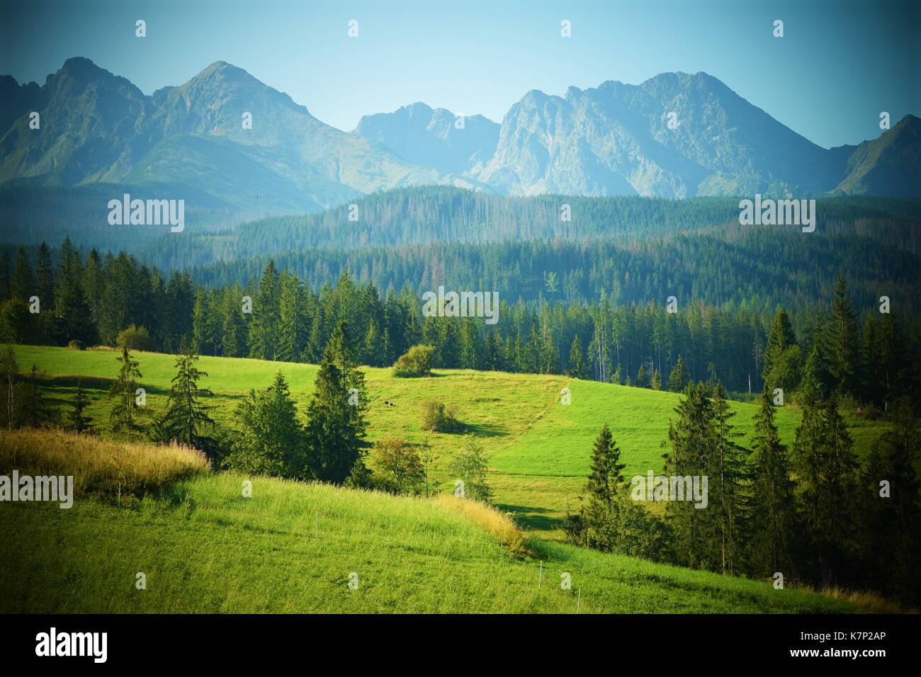 Tatra tatras hi-res stock photography and images - Alamy