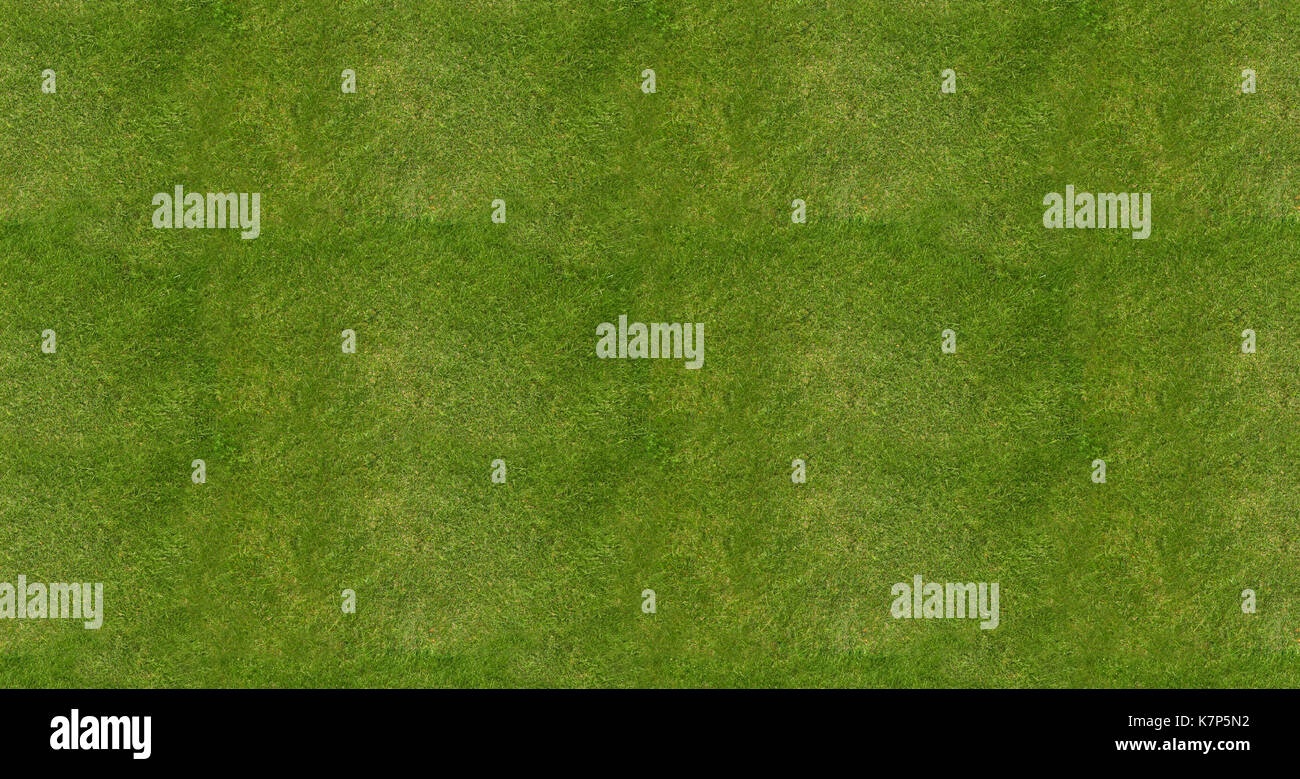 Soccer football field grass background, top view Stock Photo - Alamy