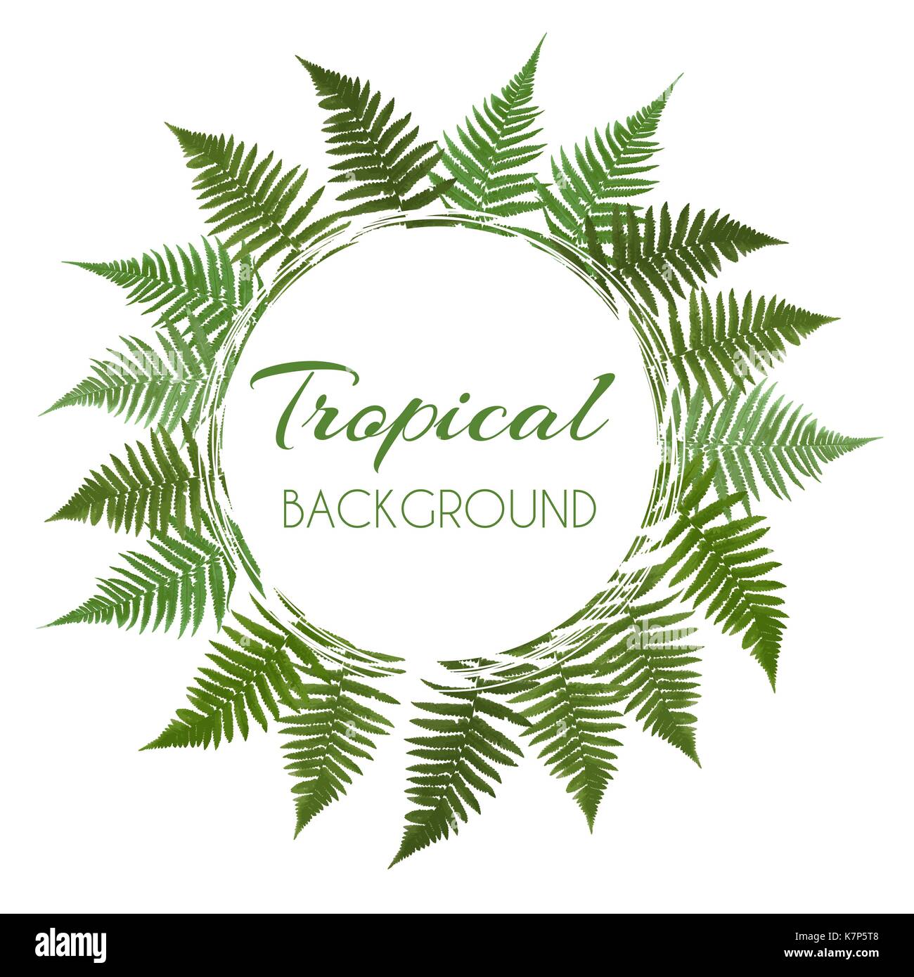 Fern Leaf Vector Background with White Frame Illustration Stock Vector ...