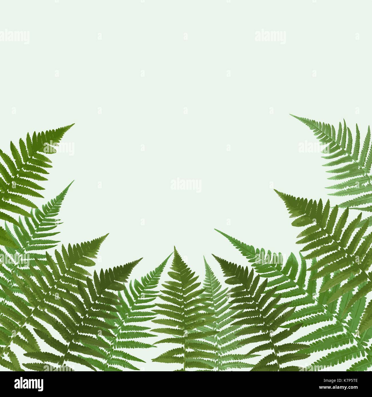 Fern Leaf Vector Background Illustration Stock Vector Image & Art - Alamy