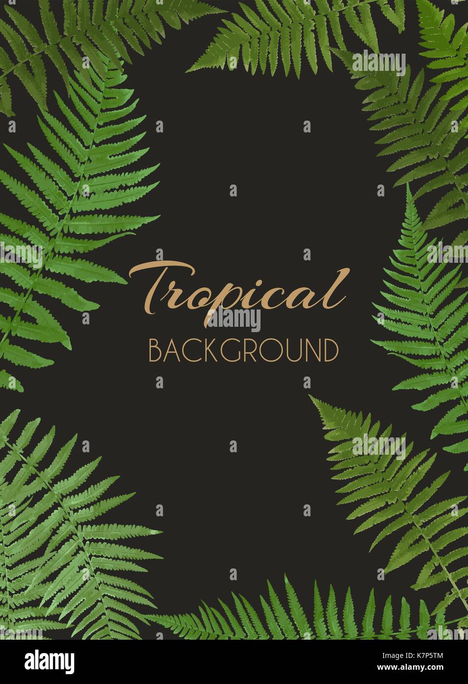 Fern Leaf Vector Background Illustration Stock Vector Image & Art - Alamy