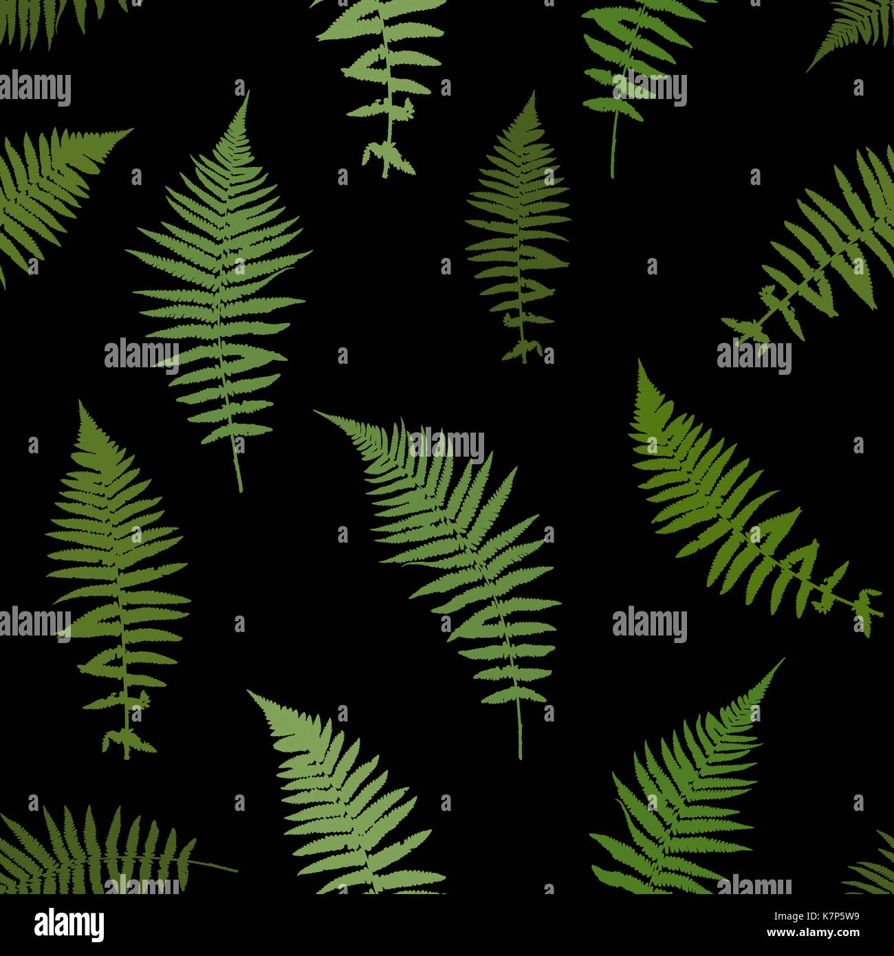 Fern Leaf Vector Background Illustration Stock Vector Image & Art - Alamy