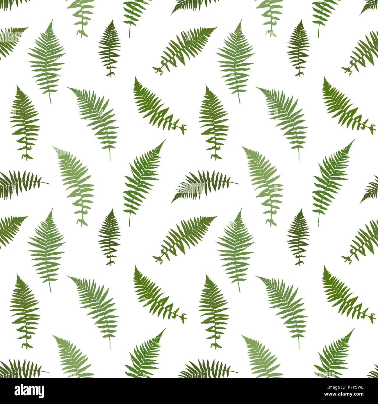 Fern Leaf Vector Background Illustration Stock Vector Image & Art - Alamy