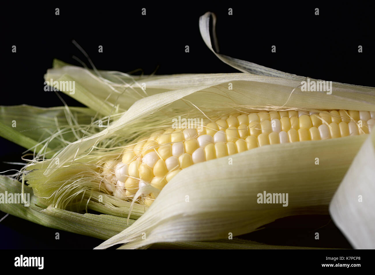 Artistic Corn on the cob kernel close up shot on a reflective surface ...