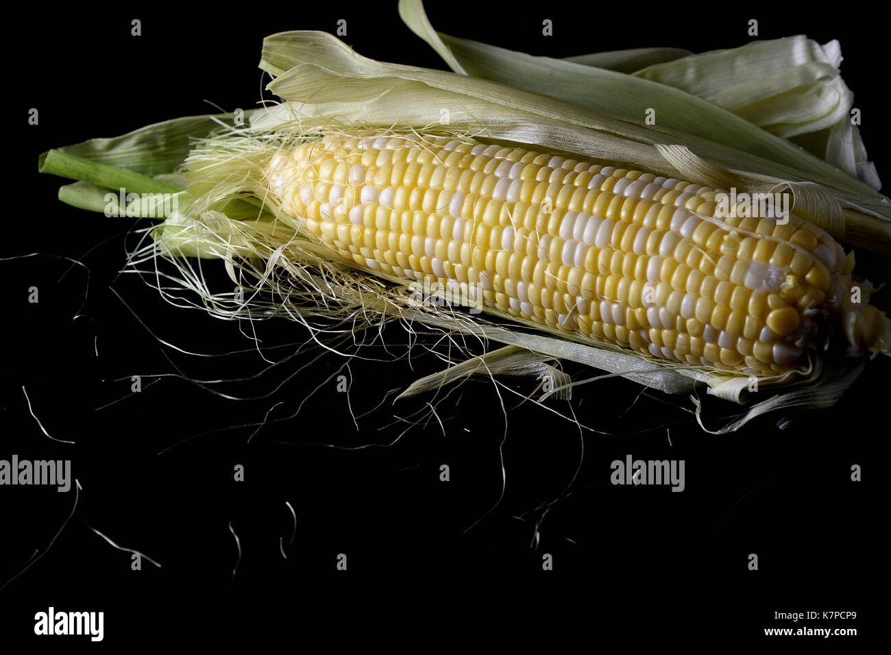 Artistic Corn on the cob kernel close up shot on a reflective surface ...