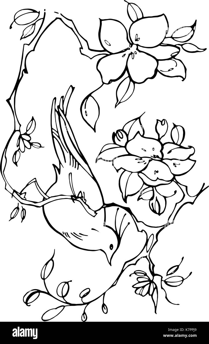 Isolated cute bouquet flowers Black and White Stock Photos & Images - Alamy