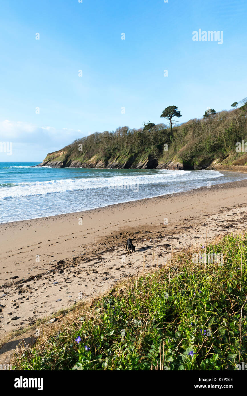 quiet cove at porthluney in cornwall, england, uk Stock Photo - Alamy