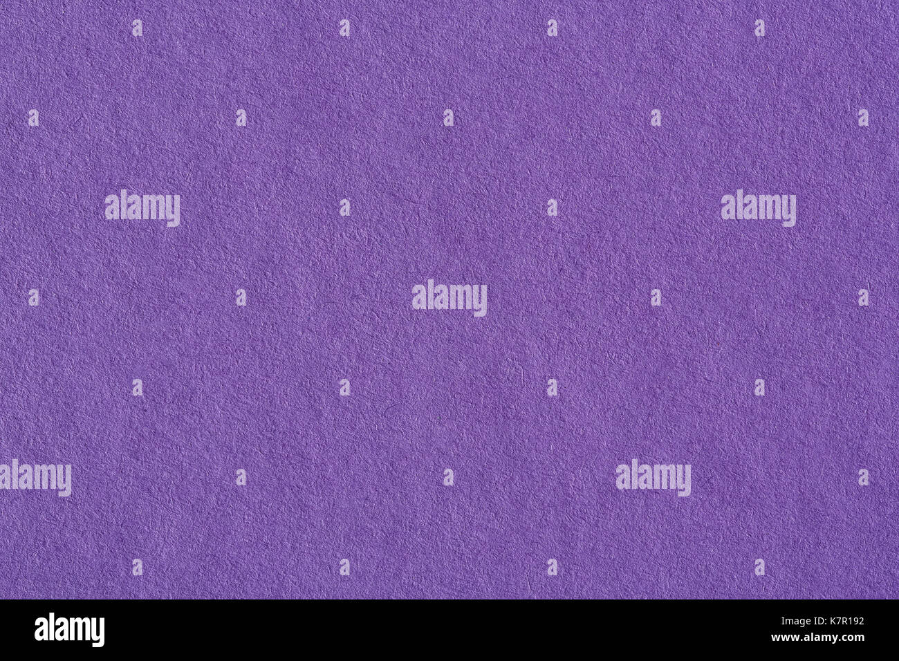Lilac paper background, texture. High resolution photo Stock Photo - Alamy